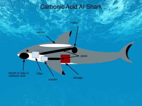 The Carbonic Acid Ai Shark : Little Inventors